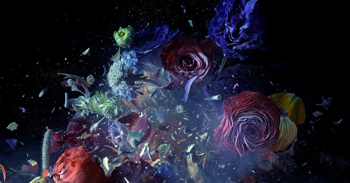broncolor | Exploding Flowers
